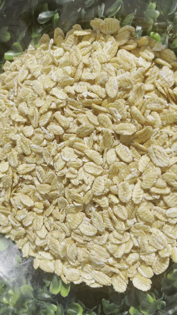 Kamut Flakes – Eat Live Heal, LLC